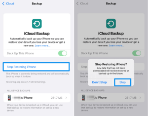 8 Ways To Clear IPhone "Restore In Progress" With No Progress Bar
